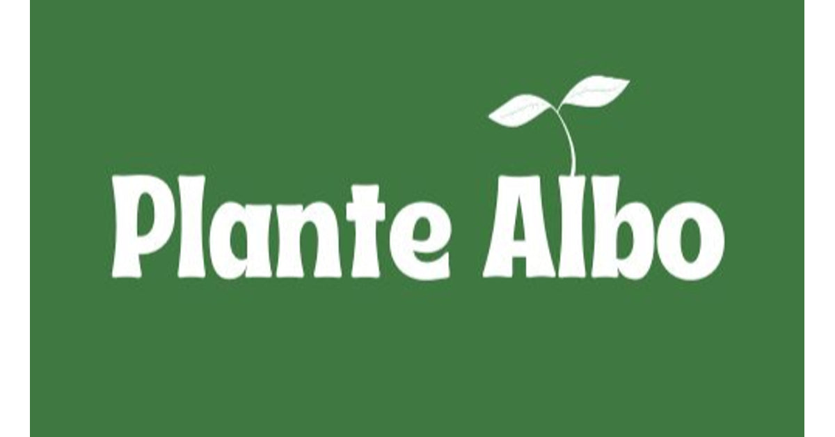 Infos – Page 3 – Plante Albo